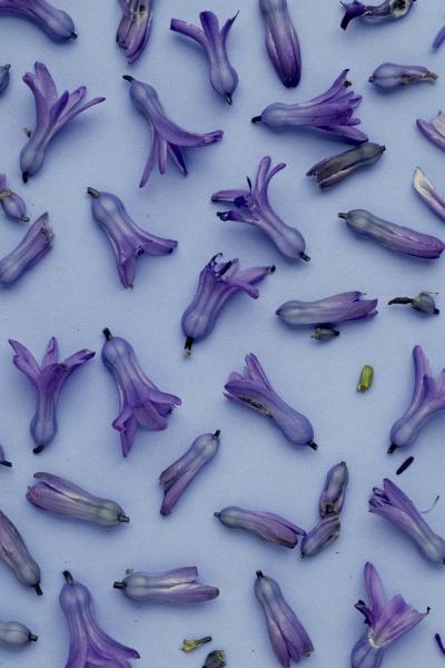 How To Create A Monochromatic Color Scheme